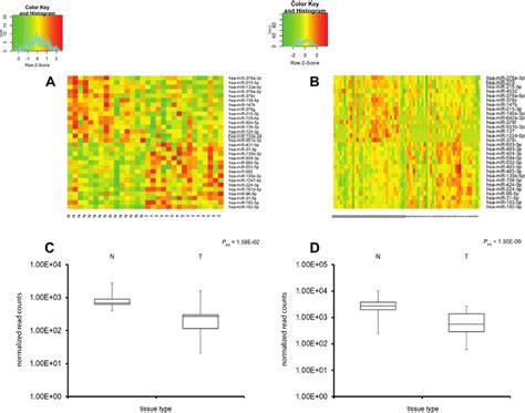 Expression Screening Of The Mirna Molecules In Colon And Rectal Download Scientific Diagram