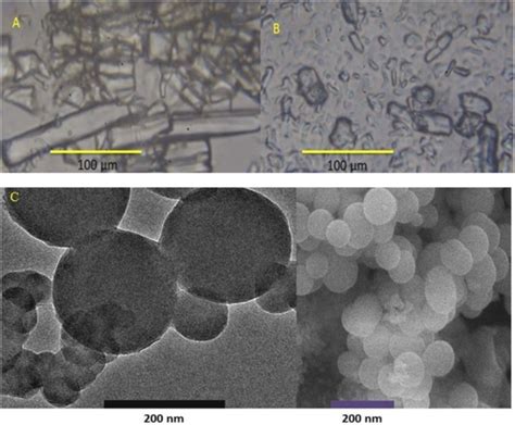 Designing Of Sio2 Mesoporous Nanoparticles Loaded With Mometasone