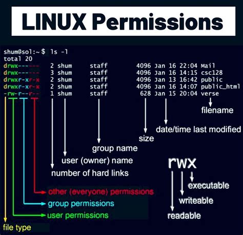 Letsdefend On Linkedin Linux Permissions 11 Comments