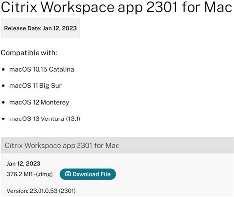 Remote Citrix WorkSpace