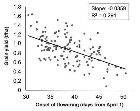 Linear Regression Of Grain Yield Under Drought Stress As A Function Of Download Scientific