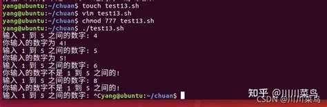最全linux Shell详细教程linux Shell 菜鸟教程 Csdn博客
