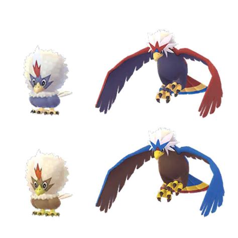 Rufflet Evolution