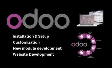 Develop Odoo Modules Erp Crm Pos Dashboard Duda Website Odoo Ecommerce Website By Olabike Fiverr