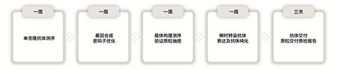 重组抗体定制 远泰生物