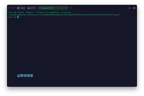 Docker 日志管理指南：查看位置、大小、清理和限制增长 系统极客