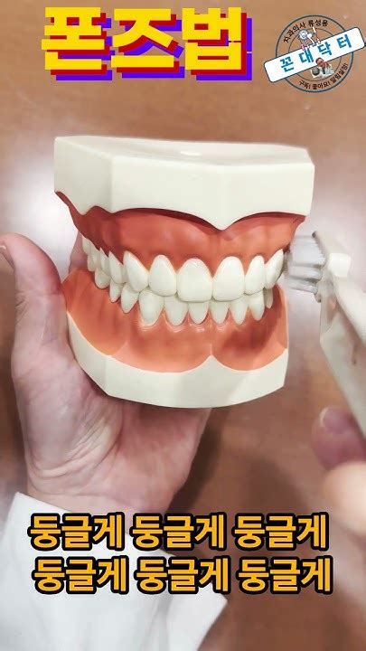 유치열기 어린이 칫솔질 폰즈법 연령별 상태별 깔맞춤 올바른 칫솔질 방법 칫솔질 칫솔질방법 양치질 Shorts Youtube