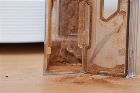 Premium Photo Cleaning The Filter Of The Vacuum Robot Cleaner From Dirt Closeup