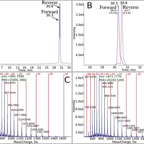 LC MS Analysis Of The DNA Fragment For The Sequence See Fig 1 Download Scientific Diagram