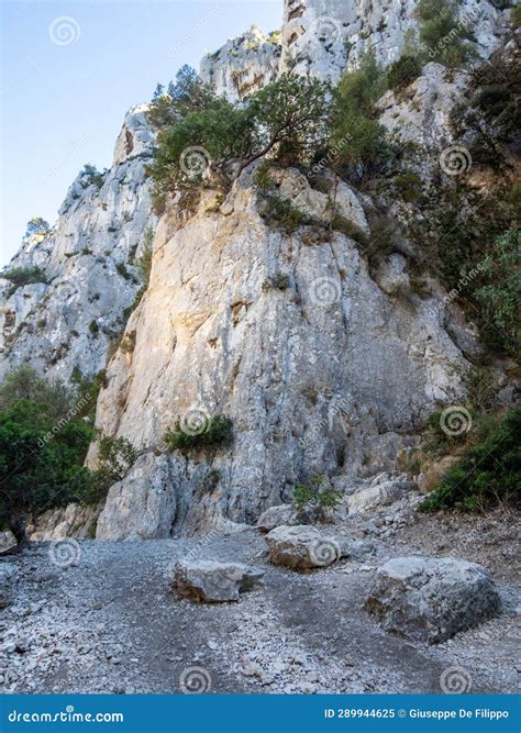 Path In The National Park Of The Calanques Near Cassis In South Of France Stock Image Image Of