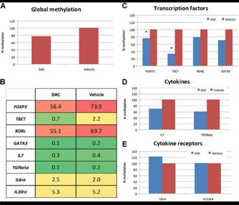 Can Anybody Interpret The Heatmap And The Methylation Values In The