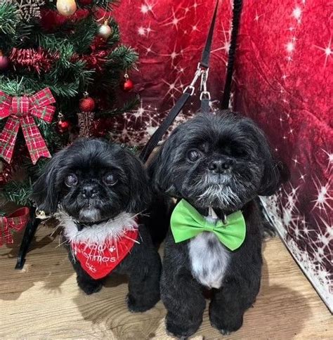 Samuel Kitson On Linkedin Merrychristmas Newyear2024