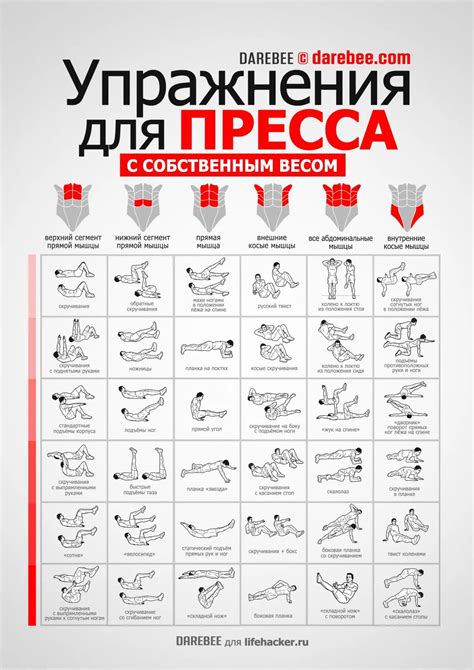 Упражнения на пресс дома 63 картинки