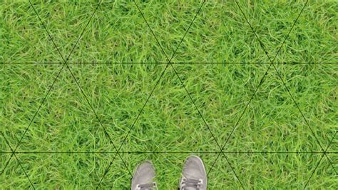 Algorithmic Reduction Of Psychedelic States Qualia Computing