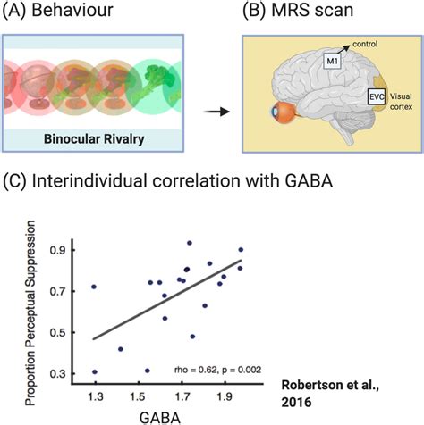Relating Interindividual Variability In Behavioural Performance To Download Scientific Diagram