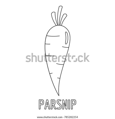 Parsnip Icon Outline Illustration Parsnip Vector Stock Vector Royalty Free 785282254