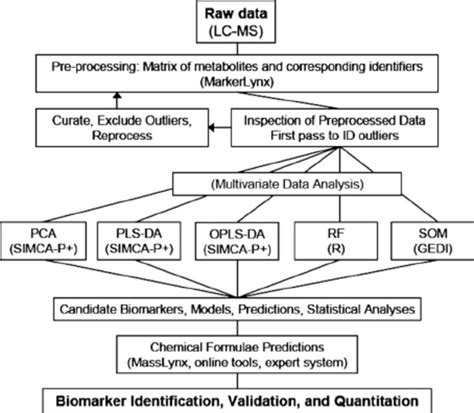 Analytical Framework For Metabolomics Data Analyses And Biomarker Download Scientific Diagram
