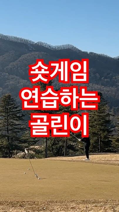 휴일에 오크밸리 드라이빙레인지에 있는 숏게임장을 이용했습니다 짧게 이용했지만 도움이 많이 된 거 같아요 이번 주말 숏게임장을