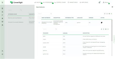 Custom Notebook — Conversight Documentation