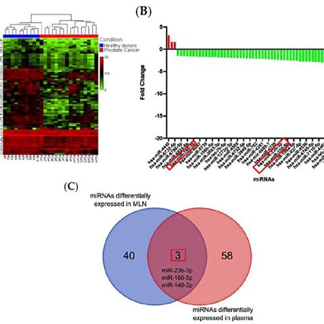 Comparative Analysis Of Mirna Expression In Plasma From Pca Patients