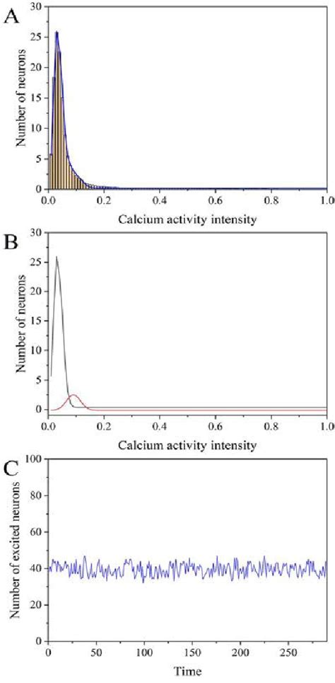 Figure 6 From Self Organized Criticality In C Elegans Neural Network Semantic Scholar