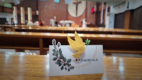 성령을 받아라 성지를 사랑하는 사람들