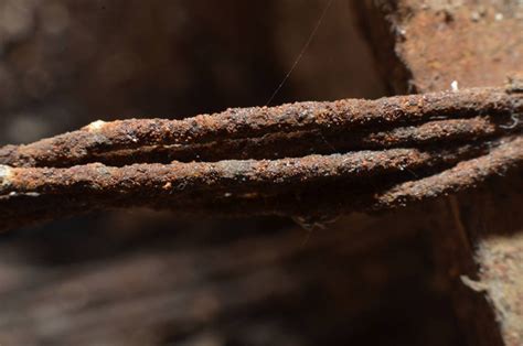 Rusting Free Stock Photos Images And Pictures Of Rusting