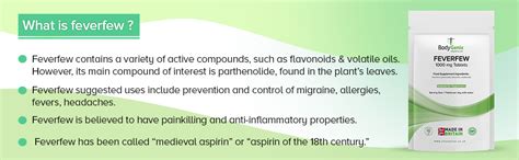 Bodygenix Feverfew 250mg Vegan Tablets Supplements With Anti