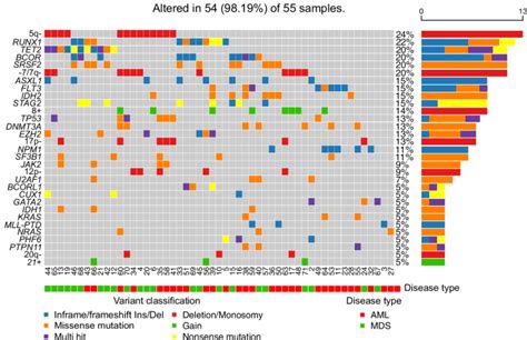 Clonal Evolution And Apoptosis Resistance In Myelodysplastic Neoplasms