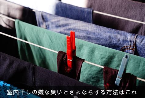 【保存版】部屋干しで洗濯物が乾かない時の対処法と臭い対策 ピンスポ ドットコム