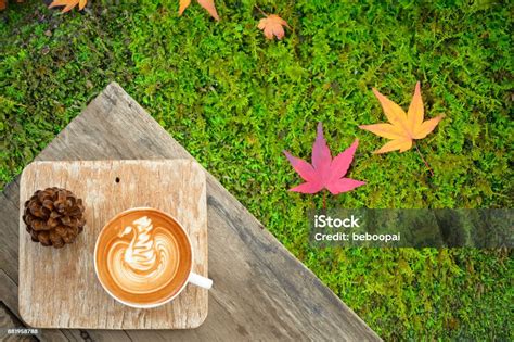 커피 라 떼와 커피 원두가 오래 된 나무 껍질에 화려한 단풍나무의 3 잔은 정원 이끼에 나뭇잎 계절 하 고 아름 다운 휴식 개념