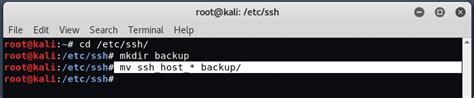 Install And Configure Openssh Server In Kali Linux 2017 Yeah Hub