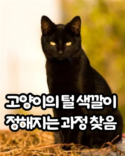 커피의 유머 Zip 이슈 엔터 예능 Coffee Humor Zip • Instagram Photos And Videos