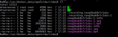 I Encountered Some Problems During The Test Recording Process · Issue