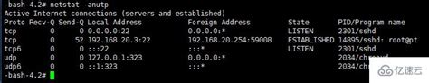 Linux下怎么查看端口监听状态 开发技术 亿速云