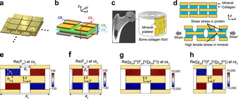 Staggered Array Metamaterial Samm With Extremely Enhanced Download Scientific Diagram