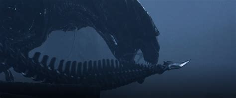 Two Xenomorph Tail Components Prop Store Ultimate Movie Collectables