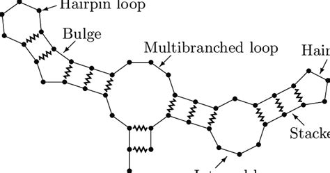 1 An Example RNA Structure Bases Are Depicted By Circles The RNA Download Scientific Diagram
