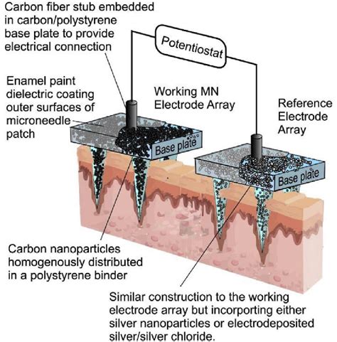 Configuration Of The Proposed Carbon Loaded Polystyrene Microneedle
