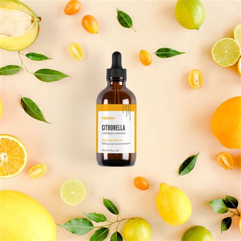 Top 30 Incredible Lemongrass Essential Oil Benefits And Uses Upnature