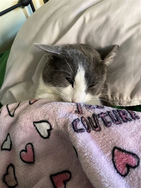 Seqi On Twitter Rt Weedlord Boner How I Sleep At Night Knowing The