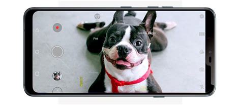 Lg G Thinq Screen Specifications Sizescreens Com