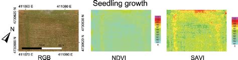 Rgb Ndvi And Savi Images Processed By Uav Imagery At Seedling Growth Download Scientific
