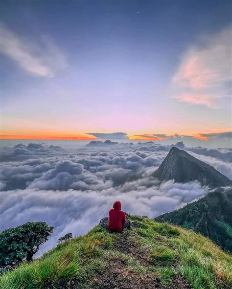 Yathravazhi India 📍kolukkumalai Peak Munnar മൂന്നാറിൽ നിന്ന് 35