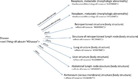 Representation Of The Object Property Assertions For The Third Use Download Scientific Diagram