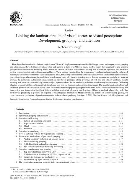 Pdf Linking The Laminar Circuits Of Visual Cortex To Visual