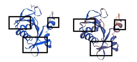 3d Modelling Protein Structure Of Iaa N Acetyltransferase Enzyme From Download Scientific