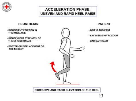 Transfemoral Gait Deviations Ppt