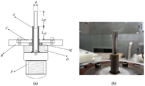 A Schematic Representation Of A Cross Section Of The Electrode Download Scientific Diagram