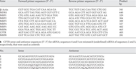 Primer And Sirna Sequences Used A The Primer Sequences Of Cftr Mrp